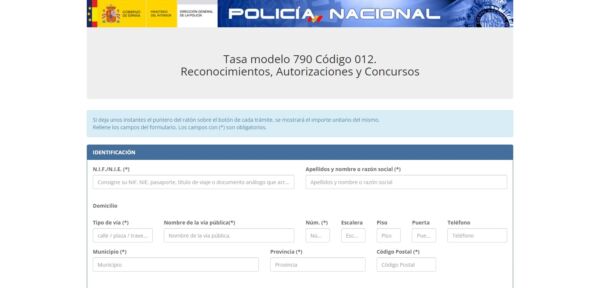 Obtaining the NIE in Spain: A Step-by-Step Process